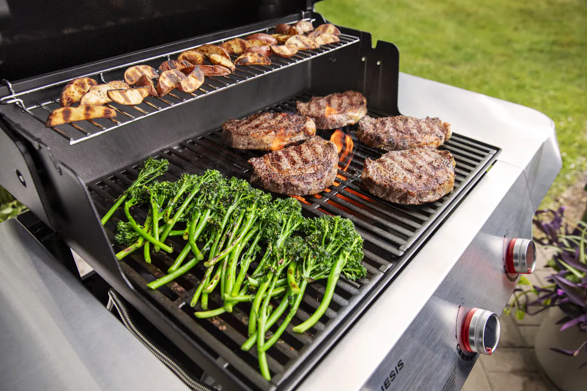 How to Cook Anything on Your Grill: Mastering Direct, Indirect, and 2 ...
