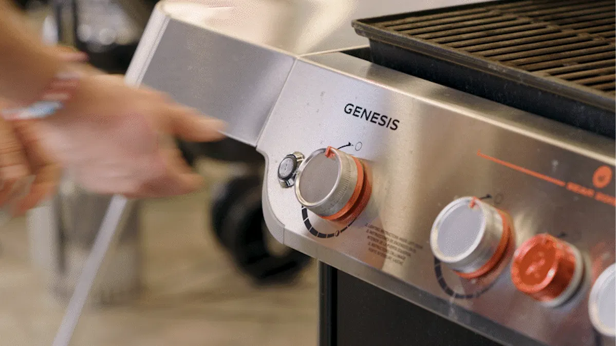 How to Cook Anything on Your Grill: Mastering Direct, Indirect, and 2 ...