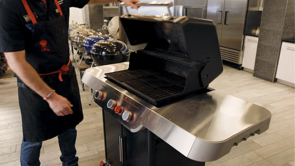 How to Cook Anything on Your Grill: Mastering Direct, Indirect, and 2 ...