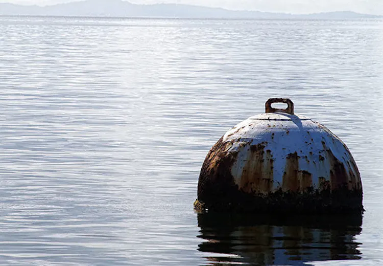 How a humble buoy took over the world | News | Weber BBQ